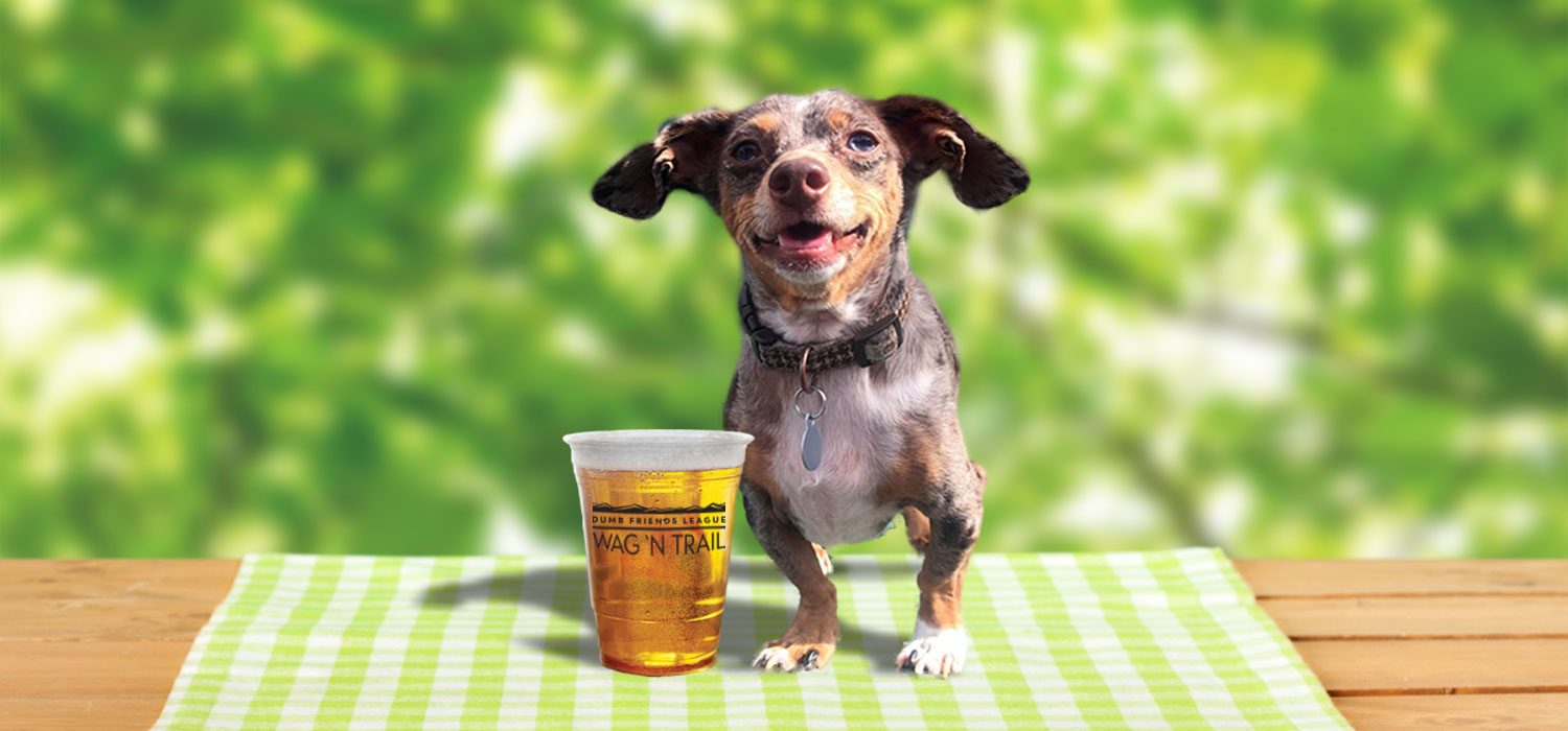 August Beer Events – Colorado Beer Girl